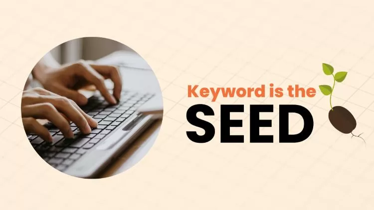What are Seed Keywords? Guide to find and use them in SEO What are Seed Keywords? Guide to find and use them in SEO